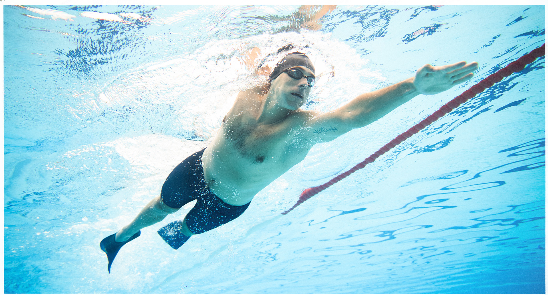 Back to the pool | Orca