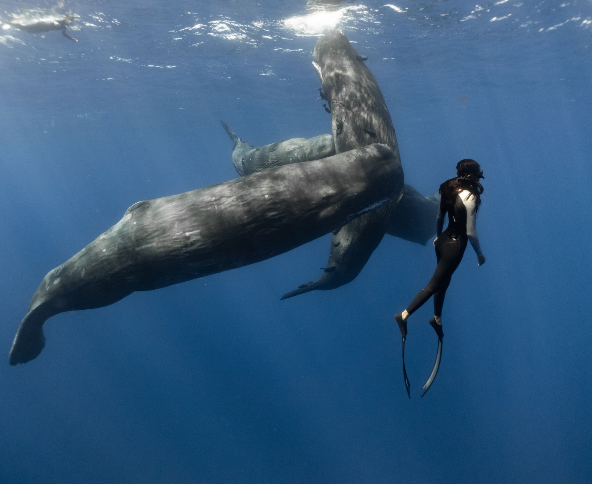 New year, new challenge | Orca